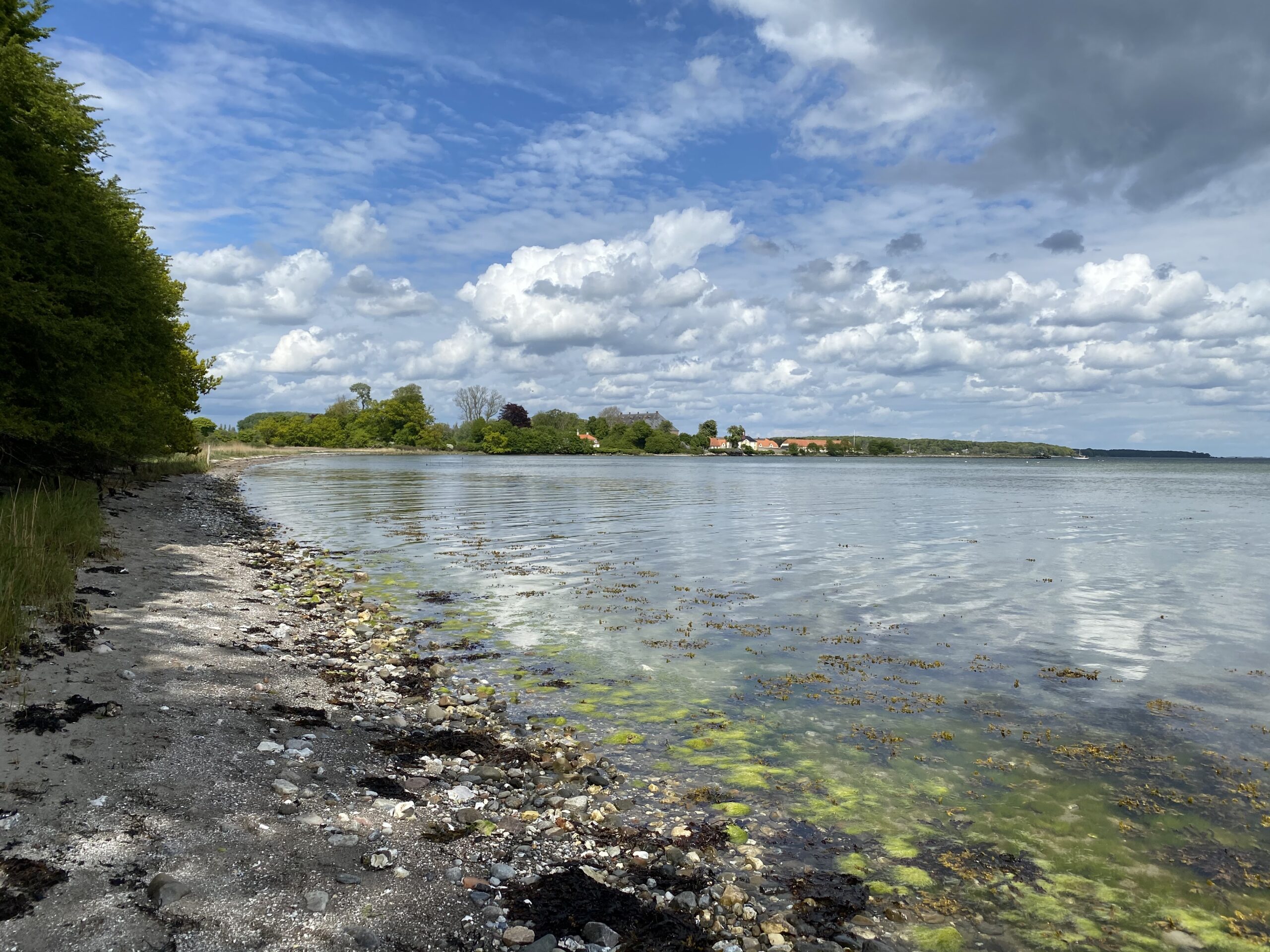 Taasinge: Nørreskoven, Valdemars Slot. 10 km. – Danish Hikings