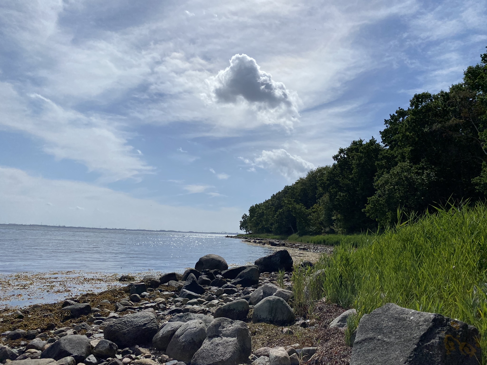 Taasinge: Vemmenæs (og Siø). 23 km. – Danish Hikings