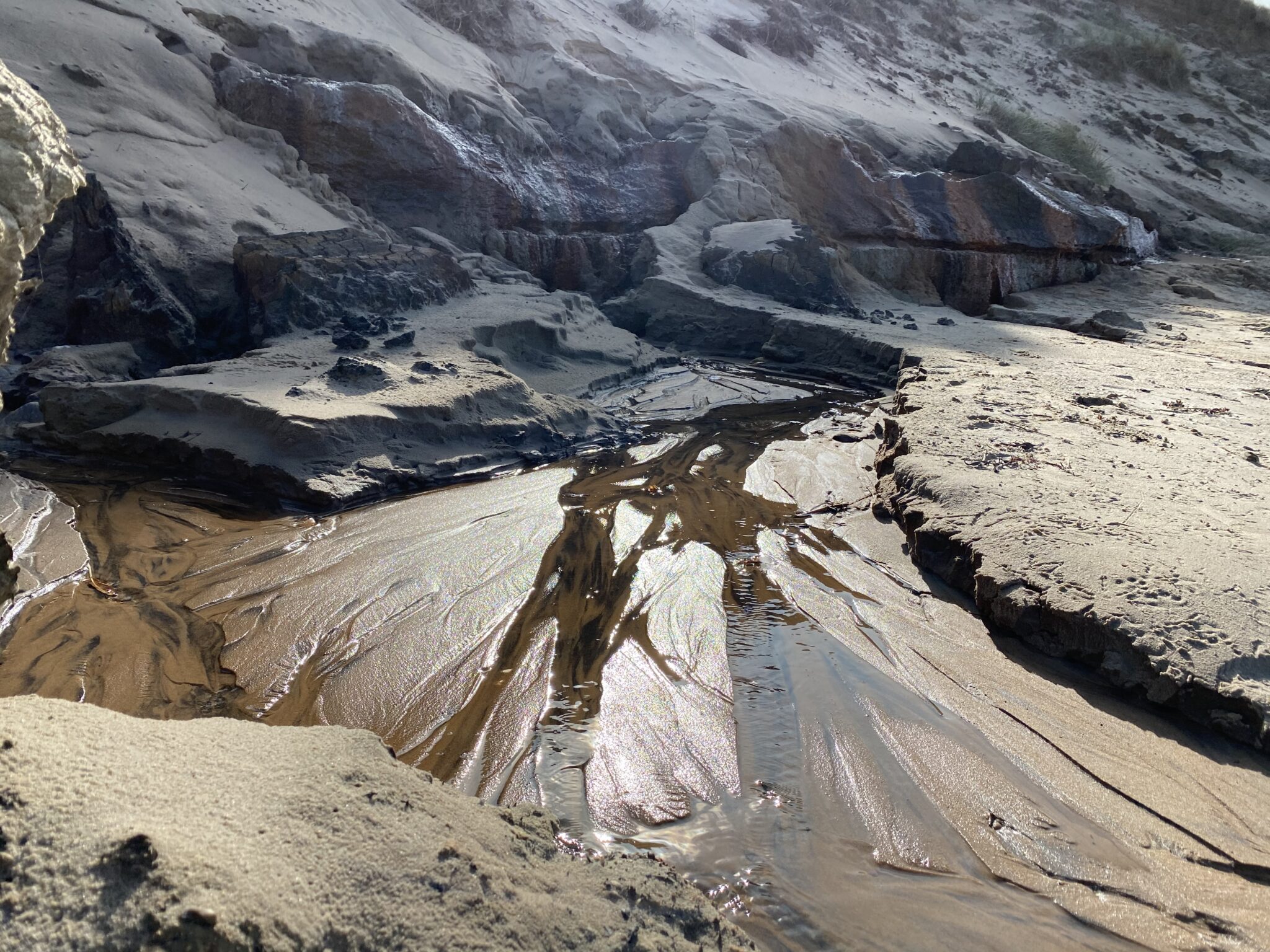 Agger Strand – Flade Sø. 16 km. – Danish Hikings