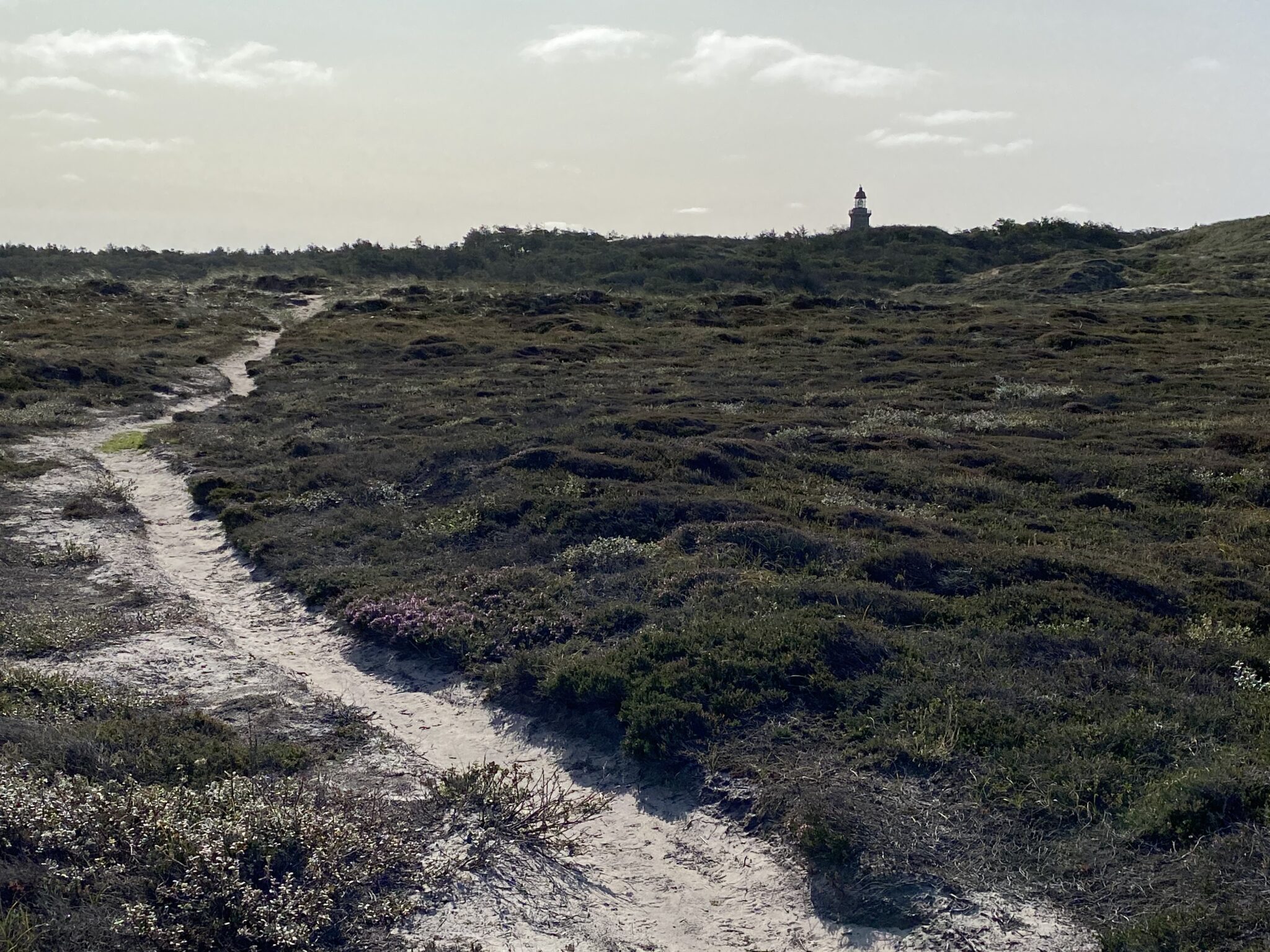 Agger Strand – Flade Sø. 16 km. – Danish Hikings