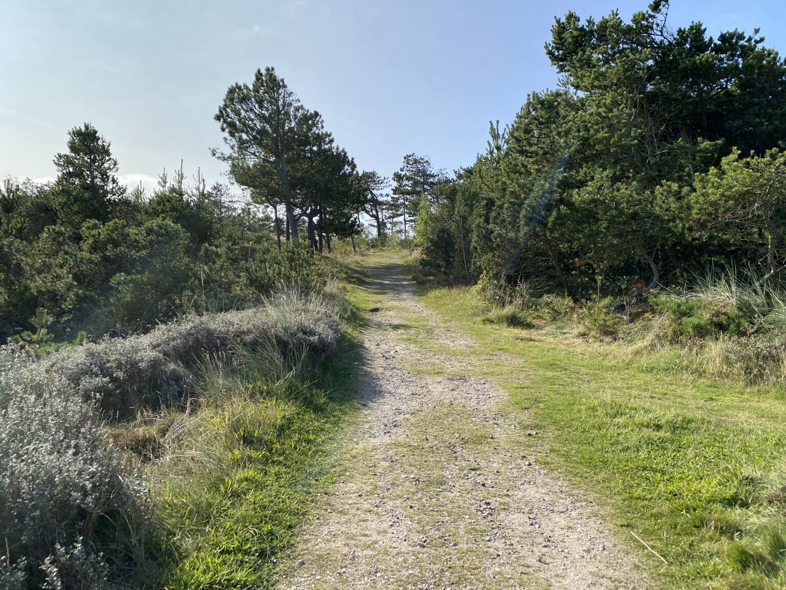 Agger Strand – Flade Sø. 16 km. – Danish Hikings