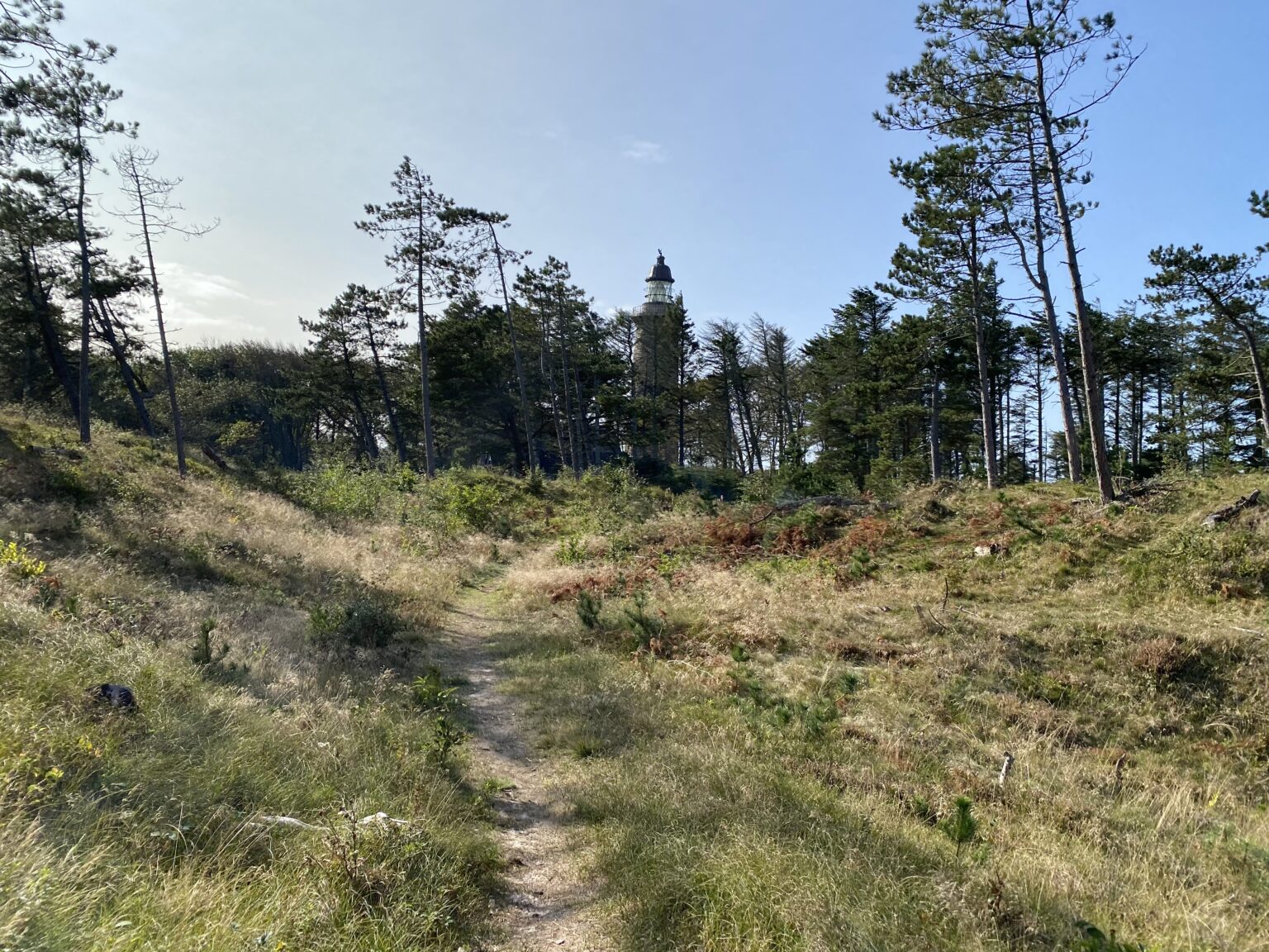 Agger Strand – Flade Sø. 16 km. – Danish Hikings