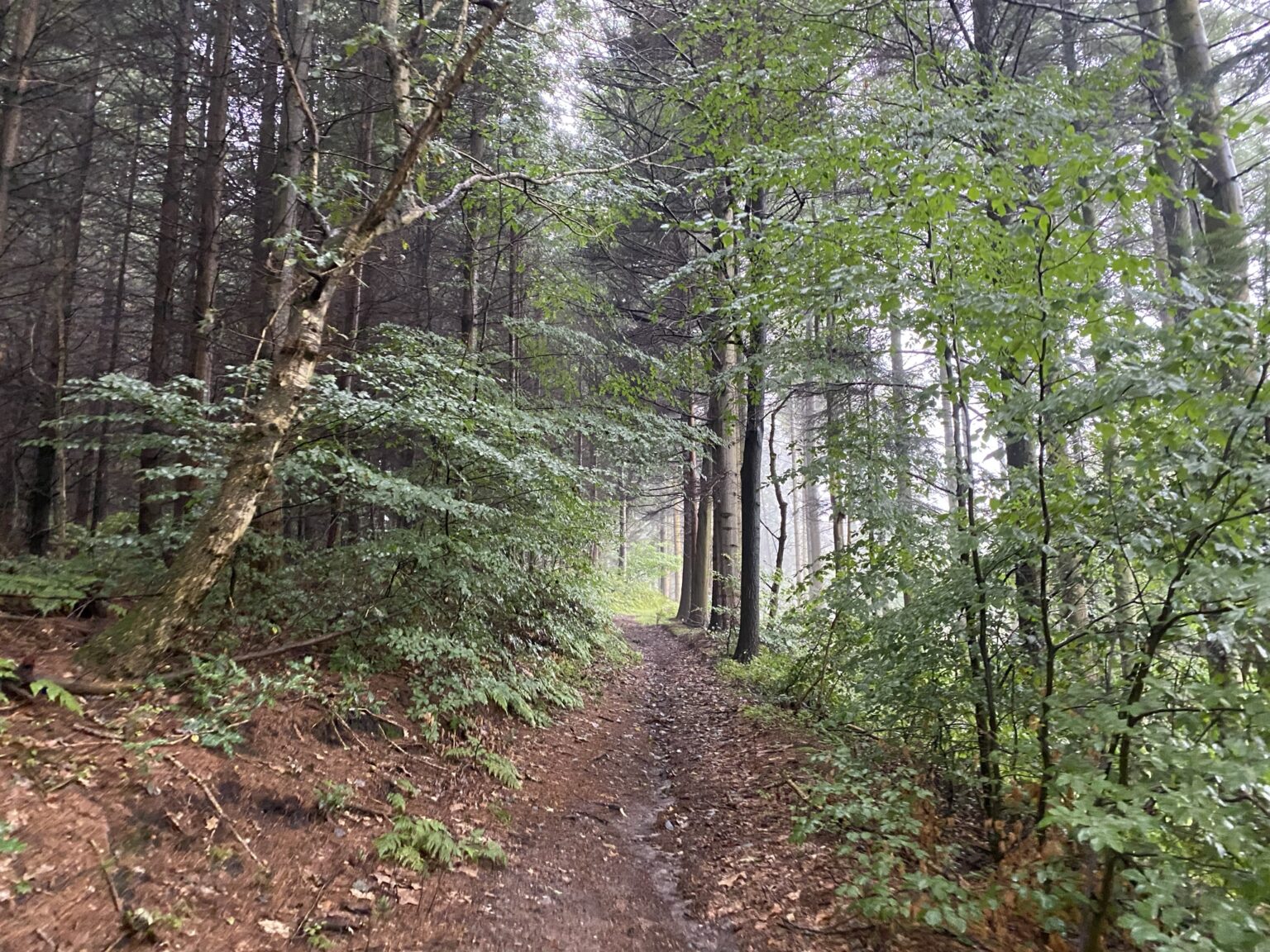 Mors: Legind Bjerge. 17 km. – Danish Hikings