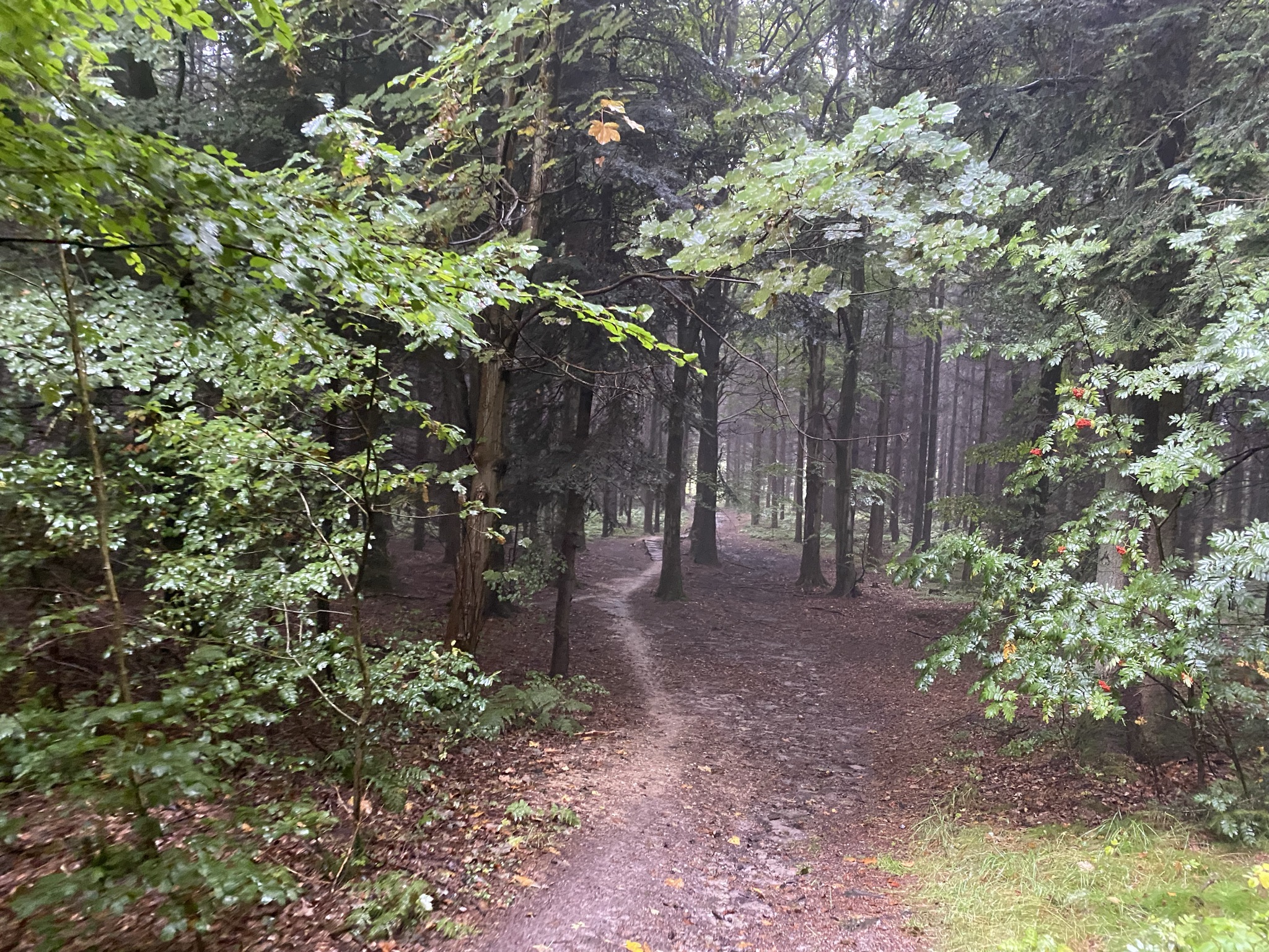 Mors: Legind Bjerge. 17 km. – Danish Hikings