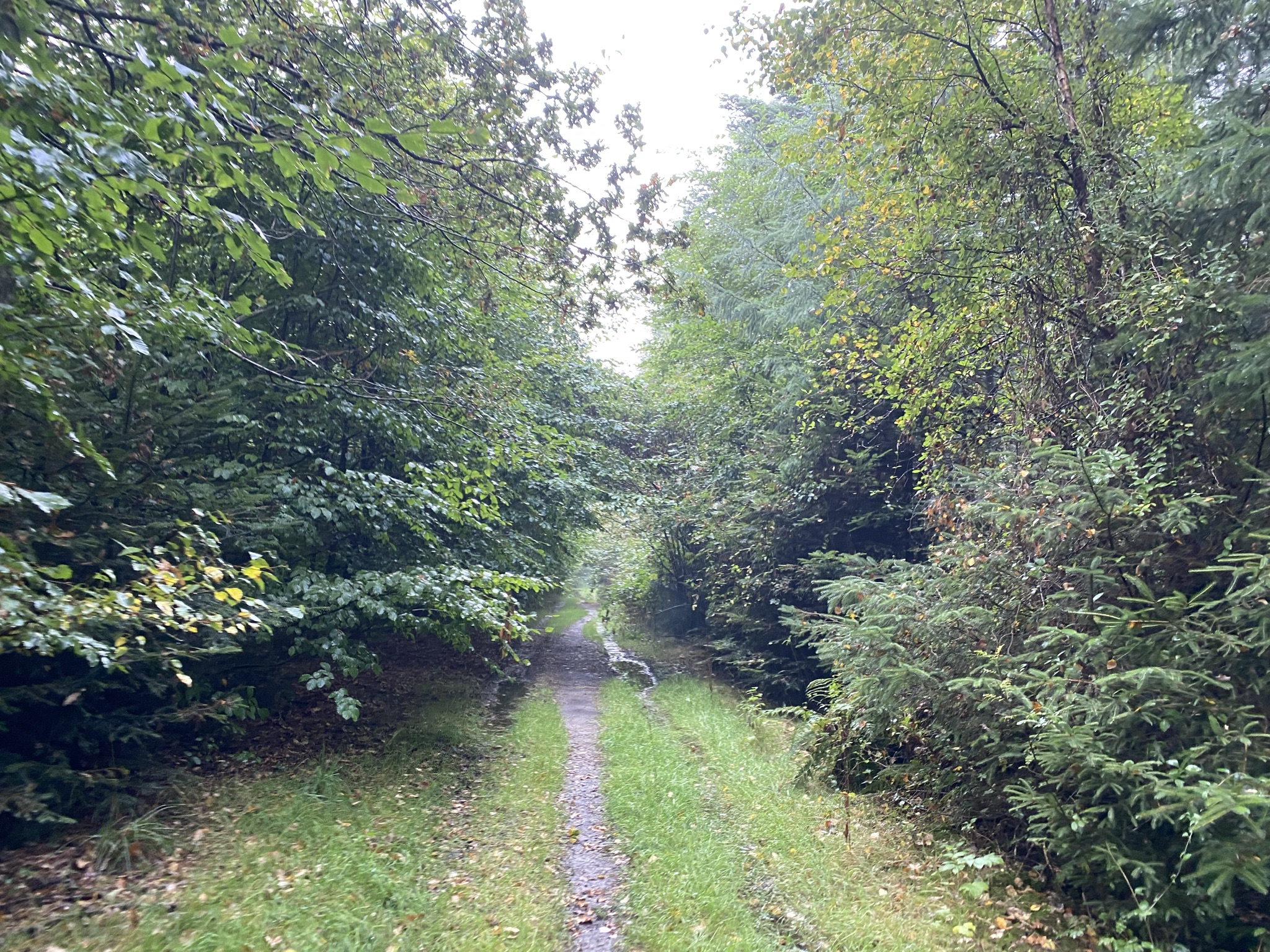 Mors: Legind Bjerge. 17 km. – Danish Hikings