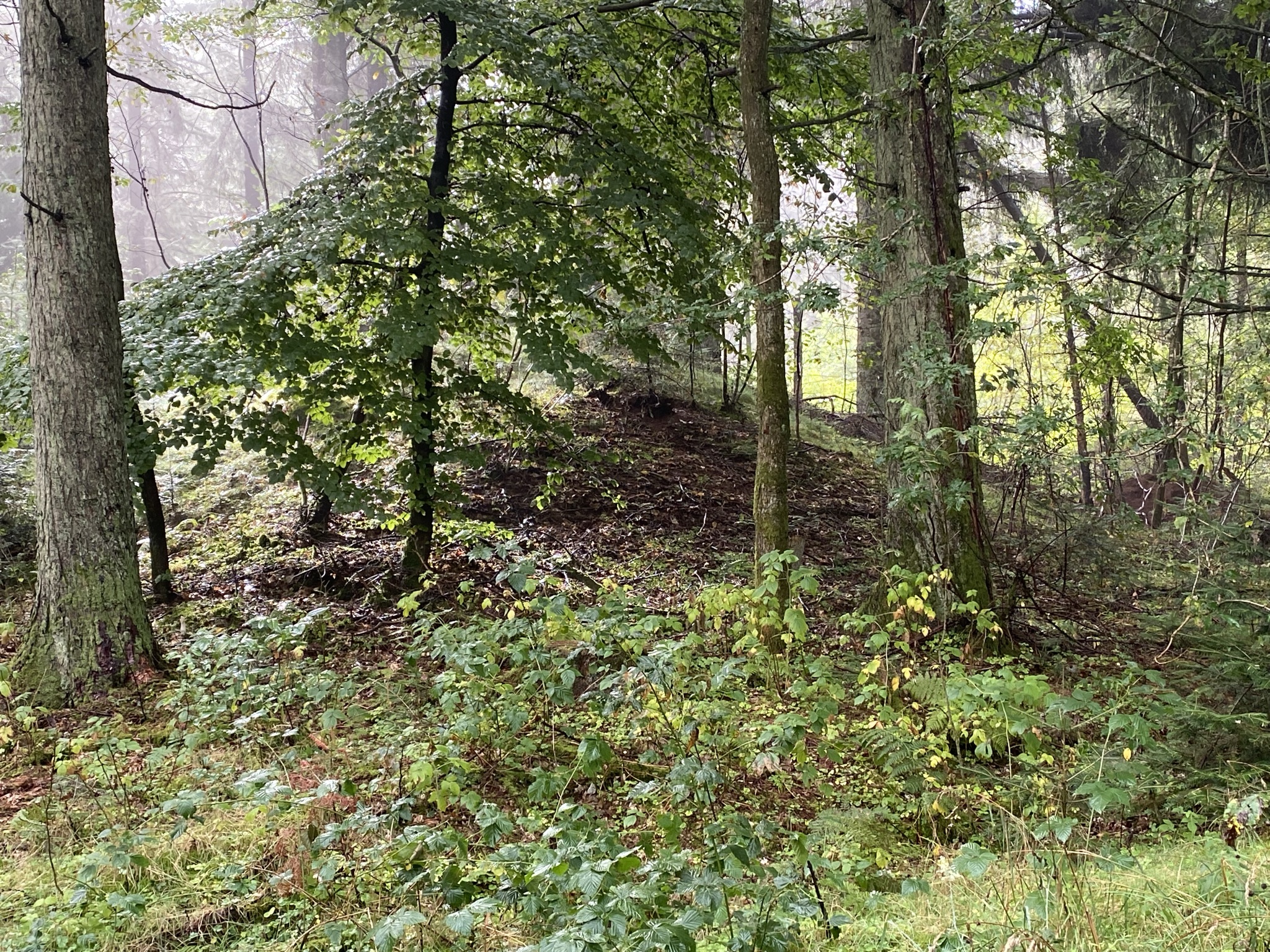 Mors: Legind Bjerge. 17 km. – Danish Hikings